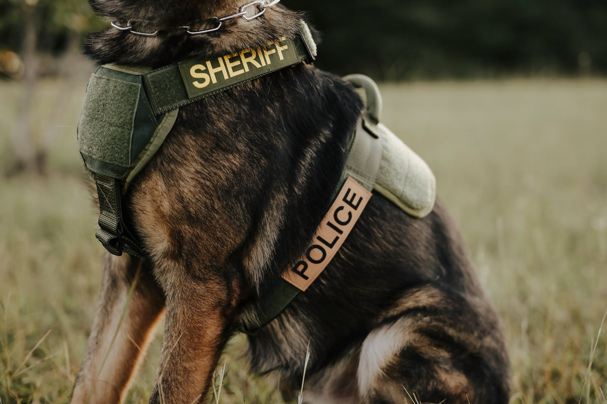 K-9 Tactical Harness – Alabama Canine