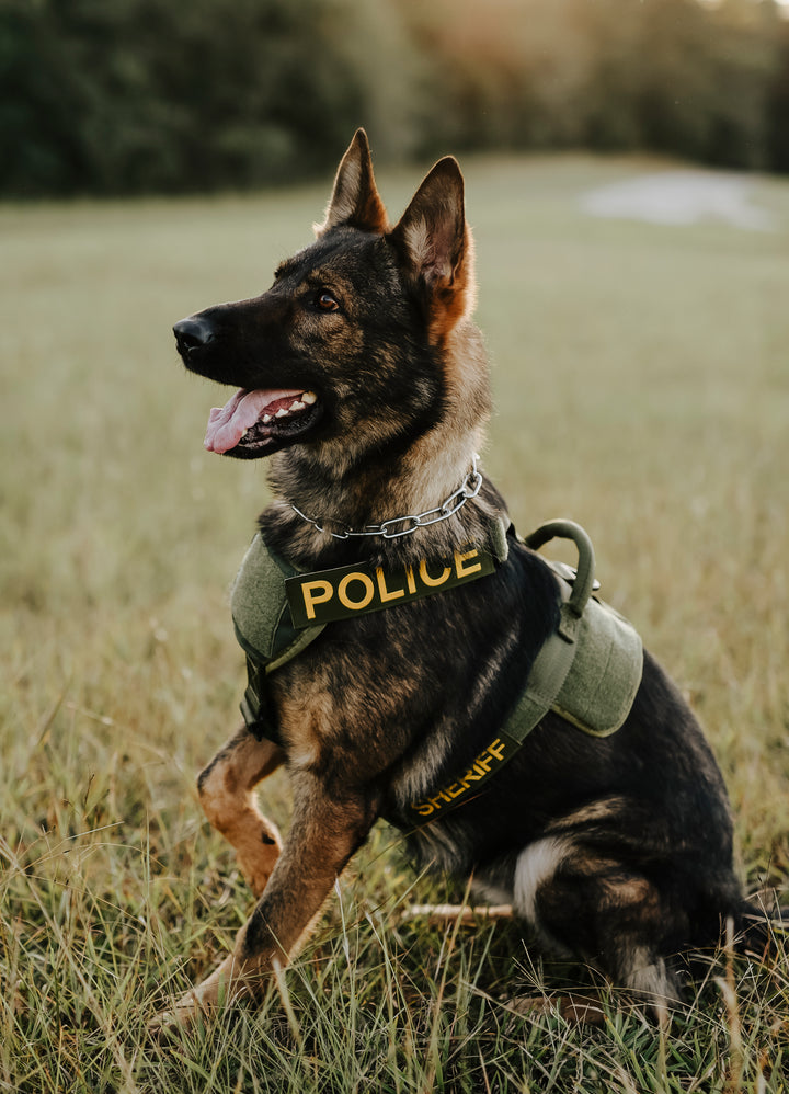 Products – Alabama Canine